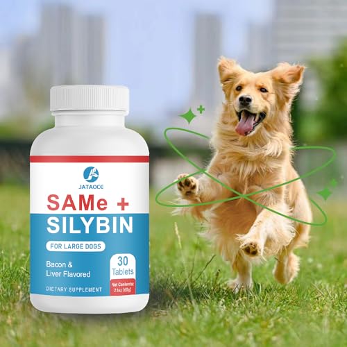 Silybin for dogs with liver issues