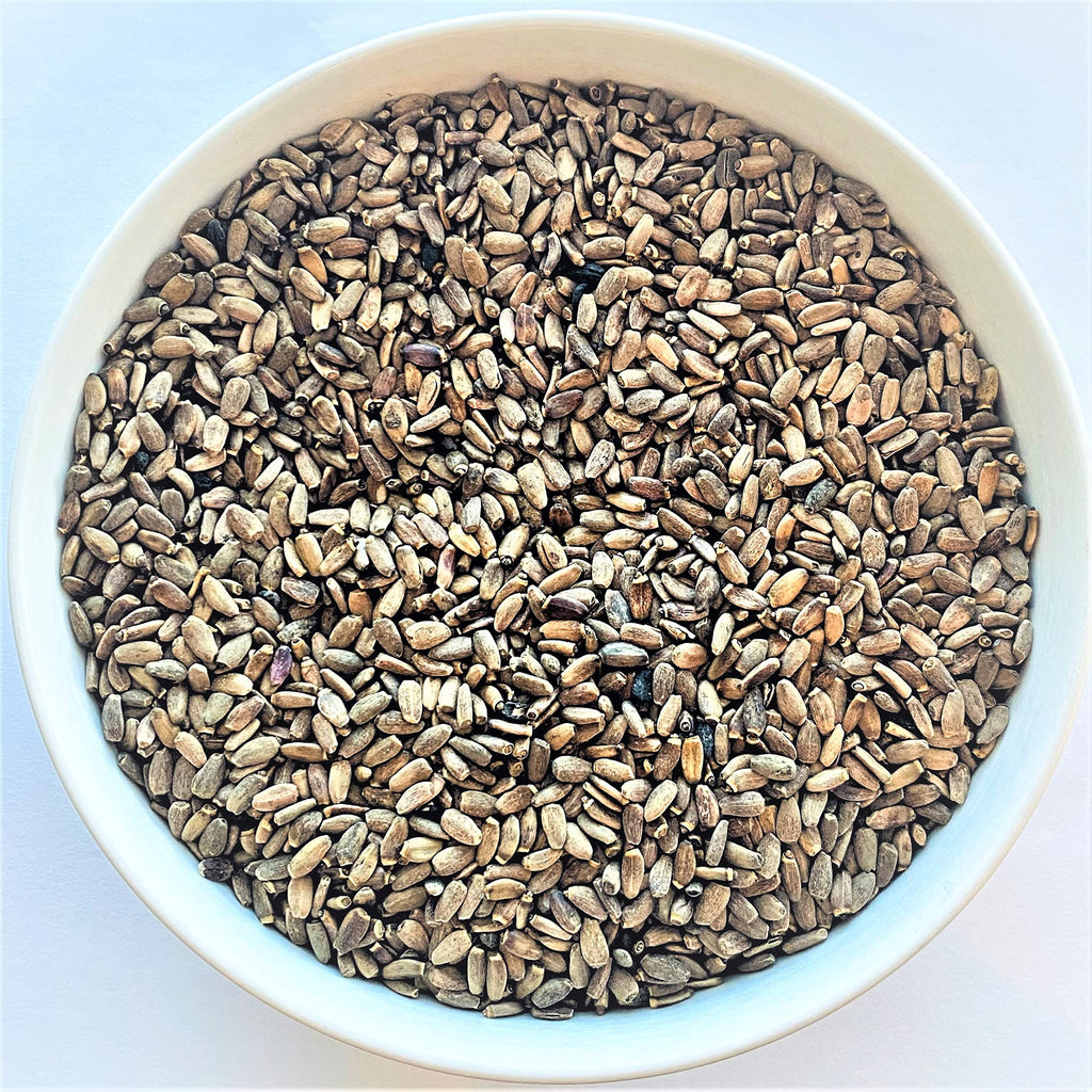 silybum marianum benefits for liver function
