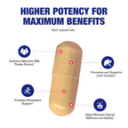 Silymarin capsules for digestive aid