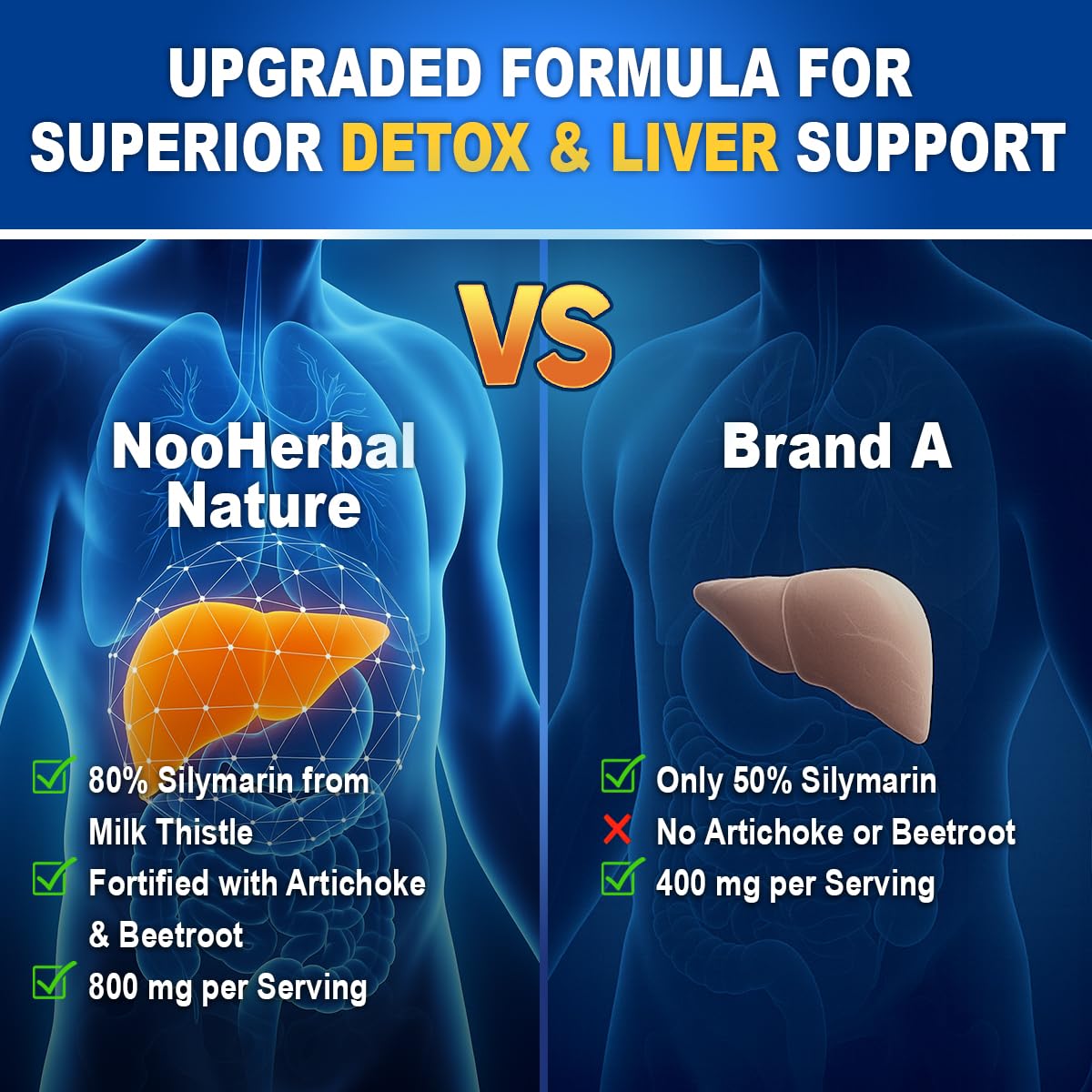 Silymarin for liver health