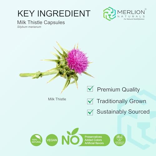 silymarin milk thistle antioxidant