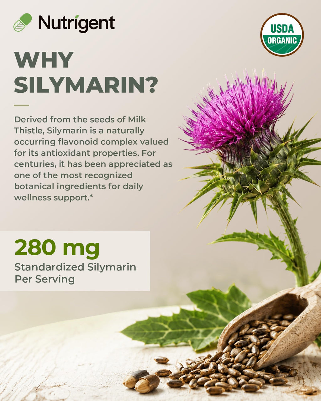 silymarin milk thistle benefits