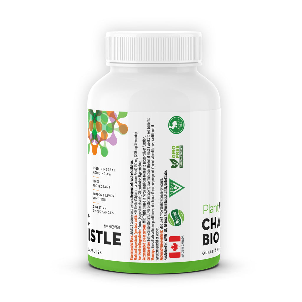 silymarin milk thistle benefits