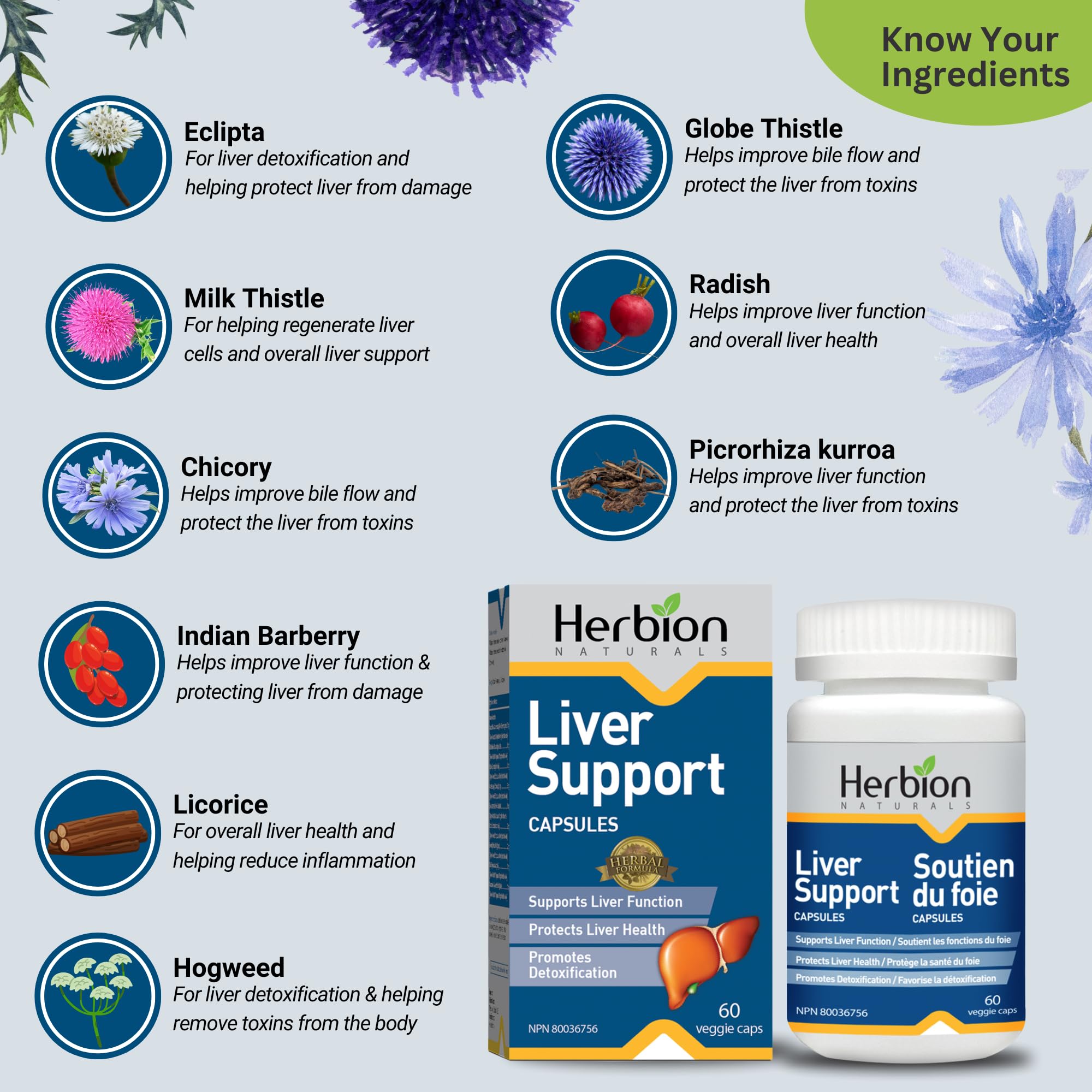 silymarin milk thistle extract advantages
