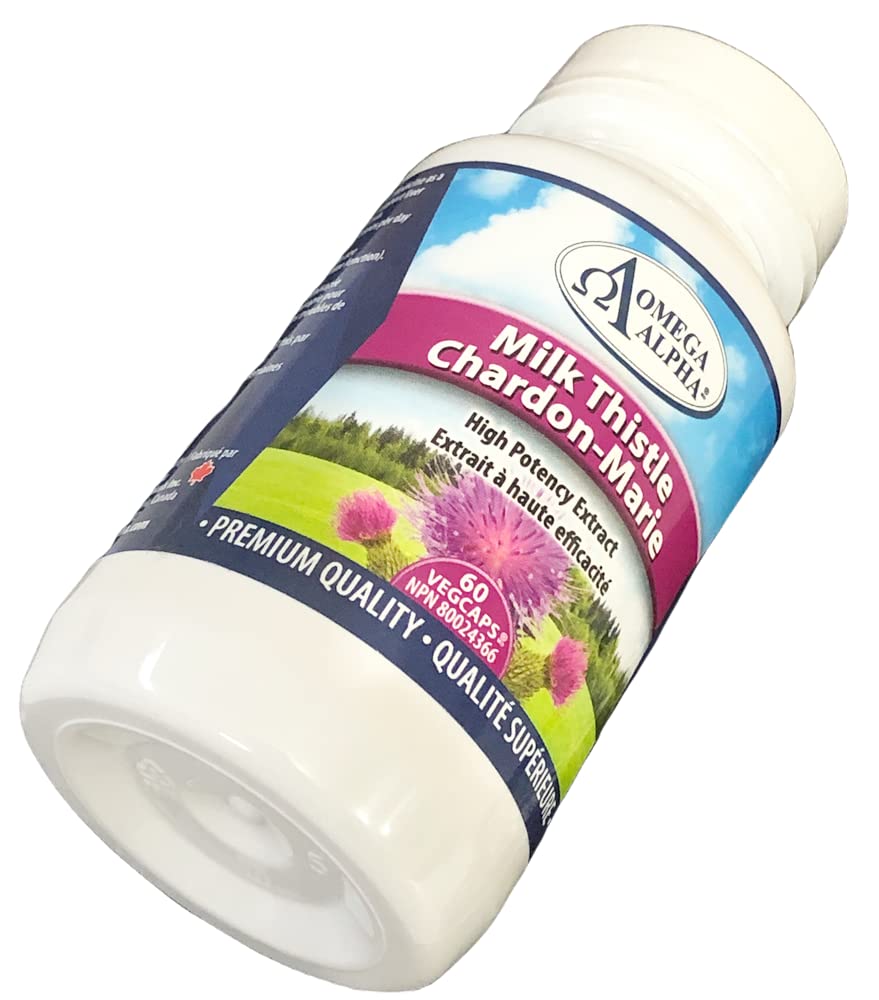silymarin milk thistle for antioxidant support