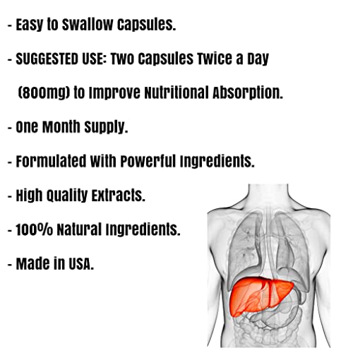 silymarin milk thistle for liver detox