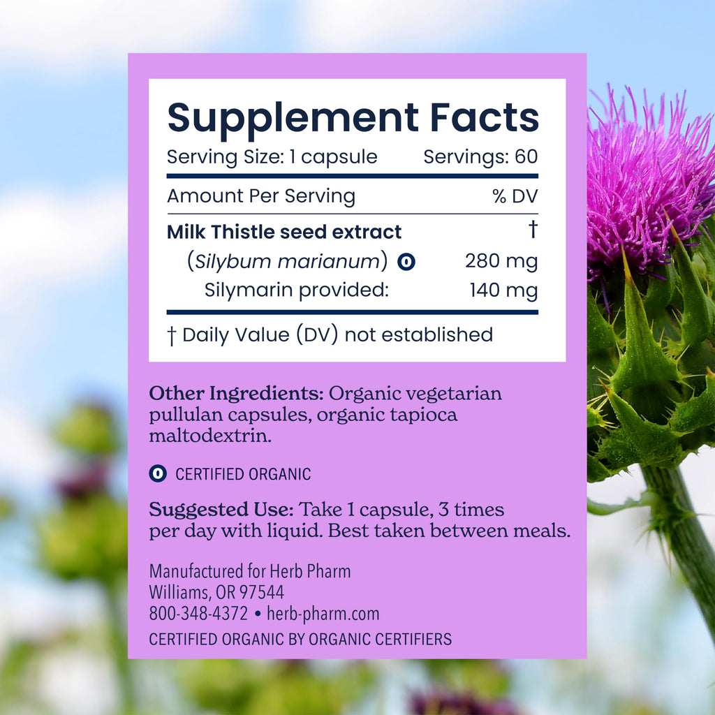 silymarin milk thistle for liver function