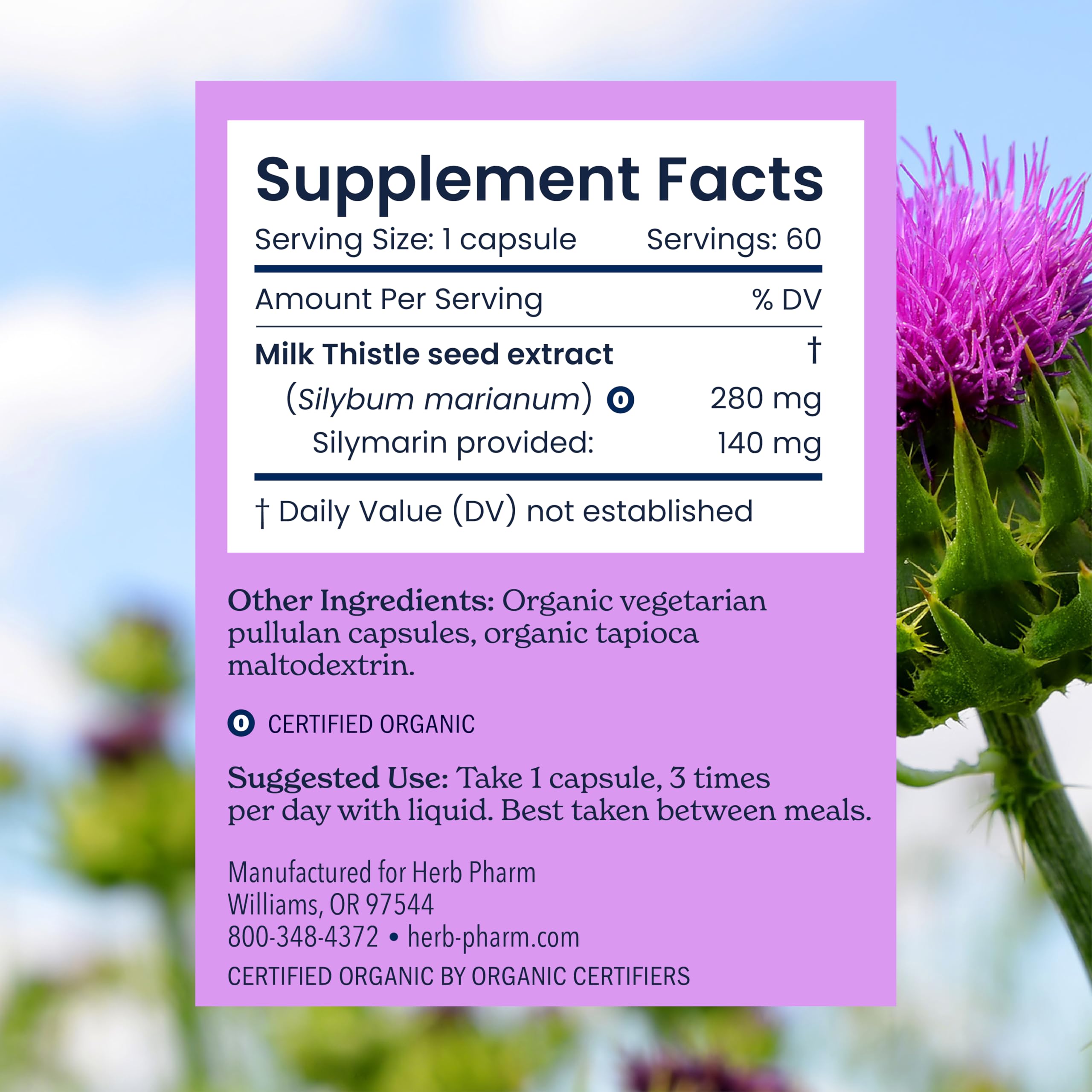 silymarin milk thistle for liver function