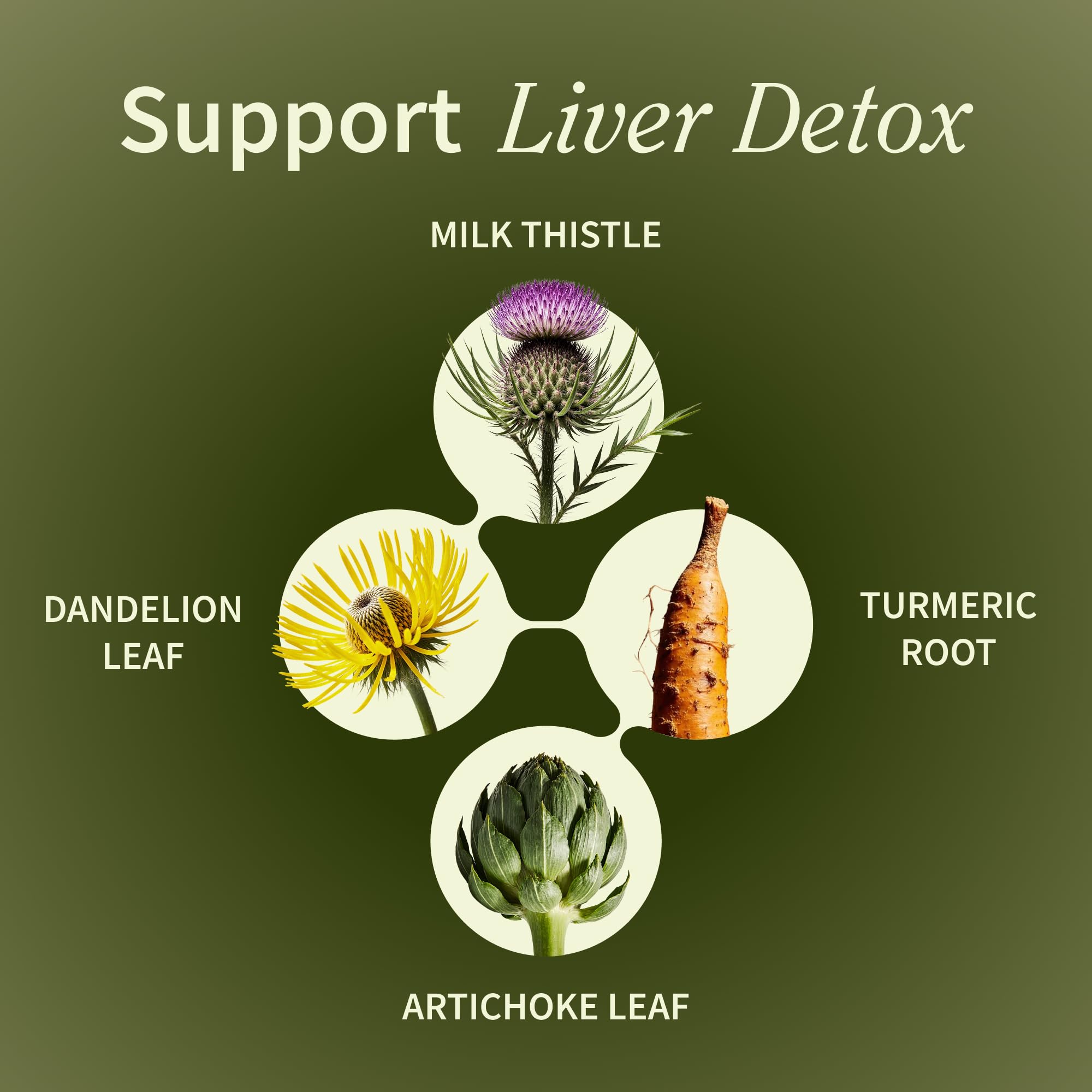 silymarin milk thistle for liver health