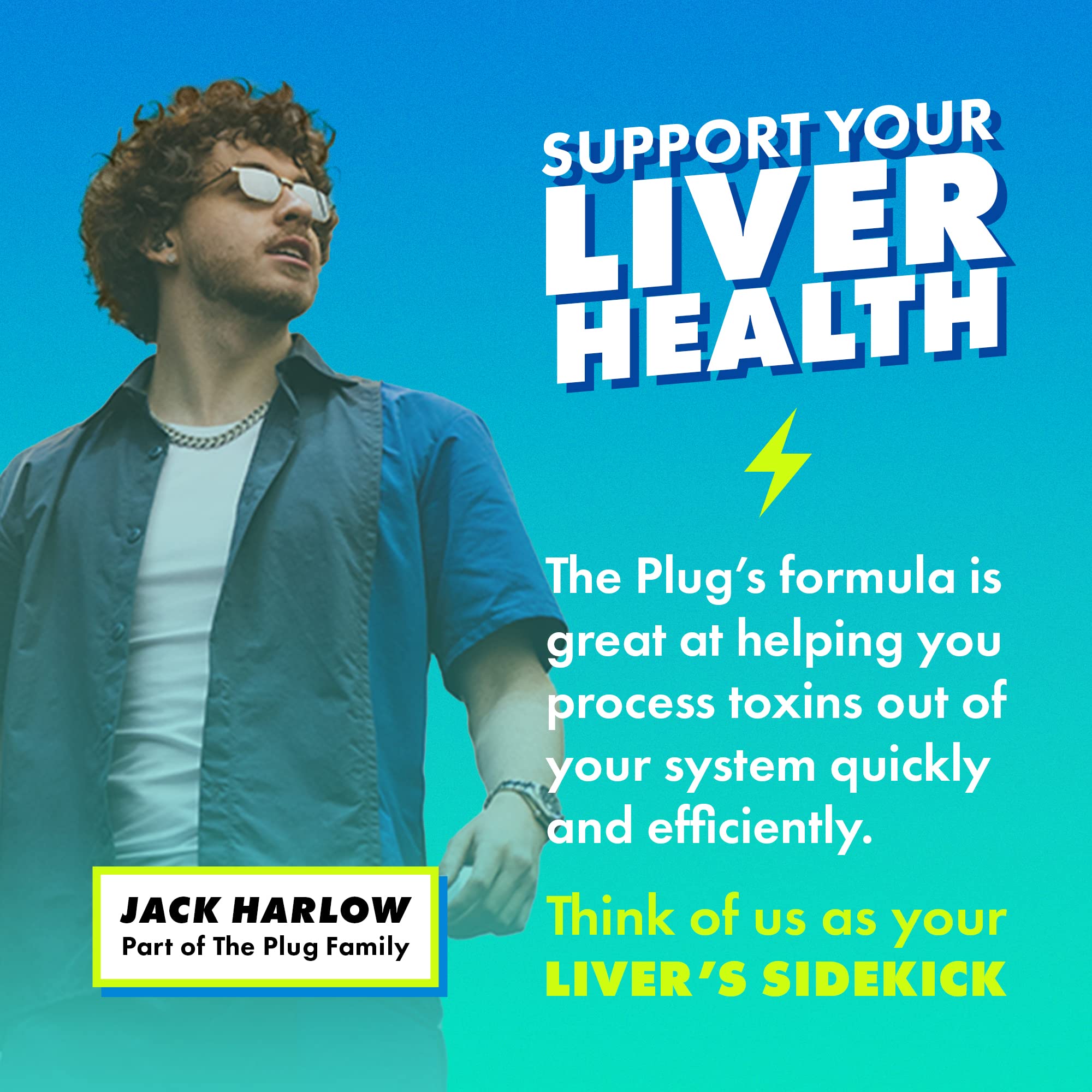 silymarin milk thistle for liver repair