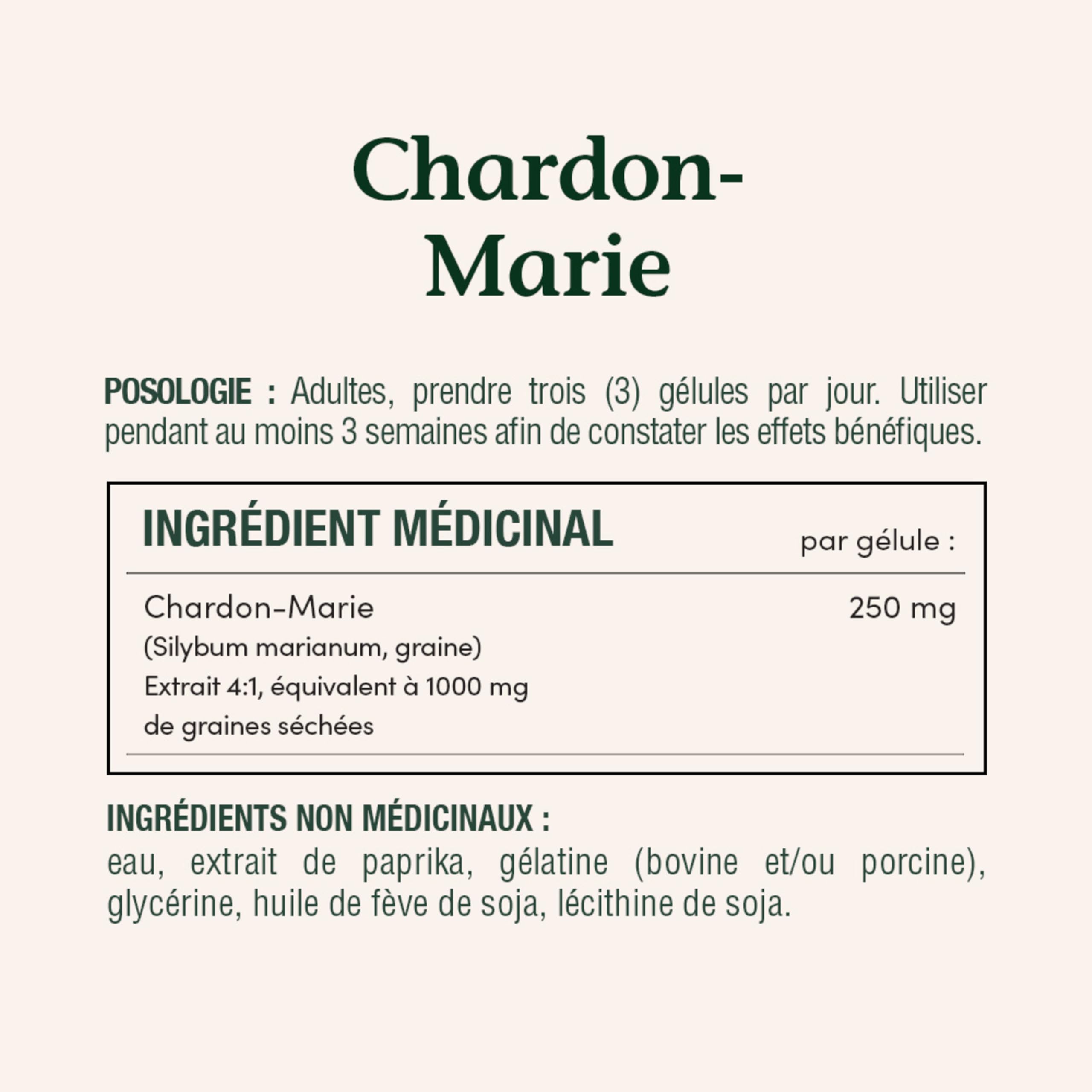 silymarin milk thistle for wellness