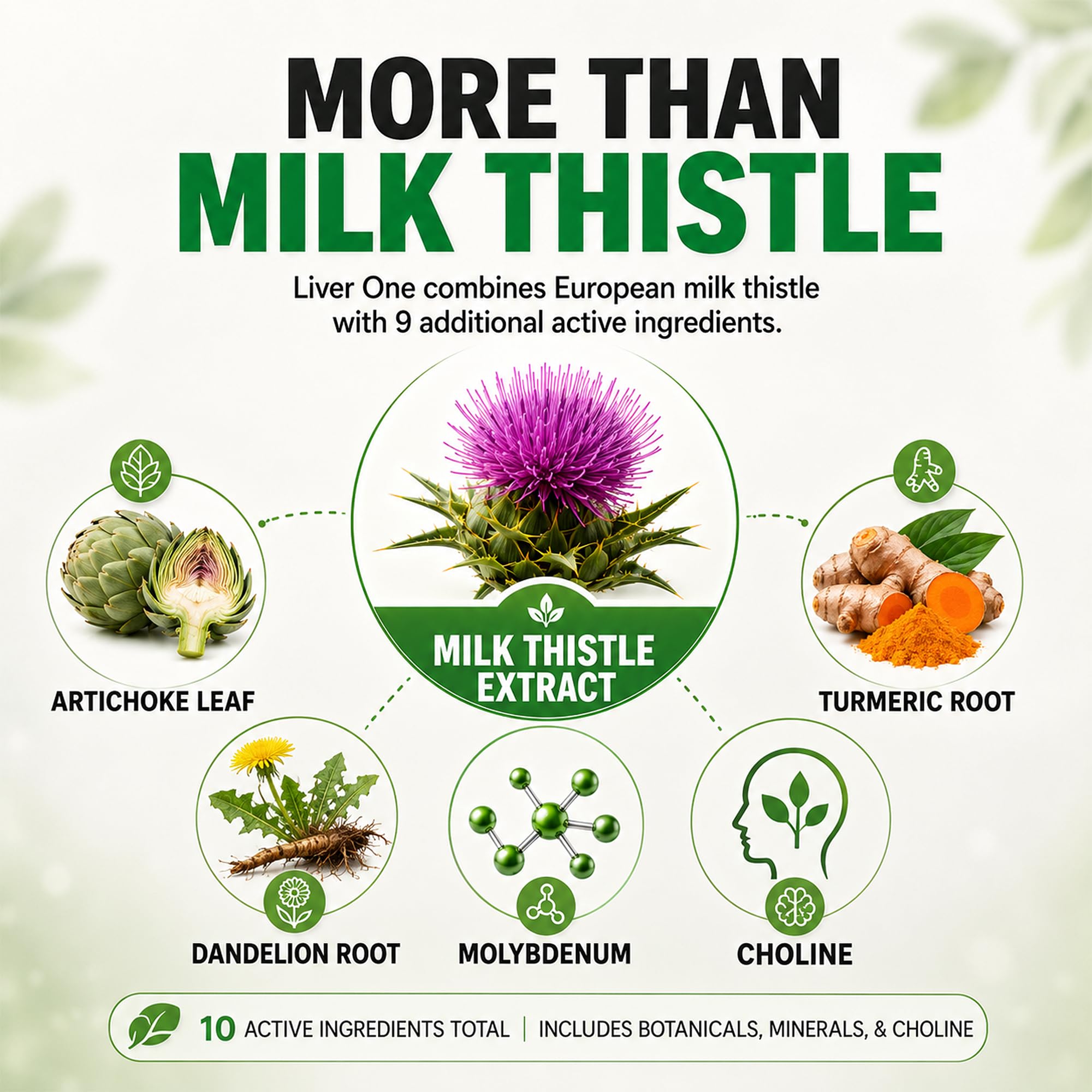 silymarin milk thistle health benefits