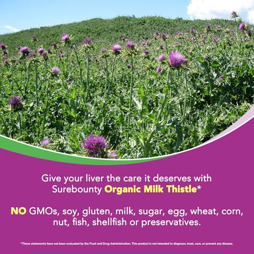 silymarin rich milk thistle capsules