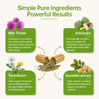 Silymarin supplement for detox