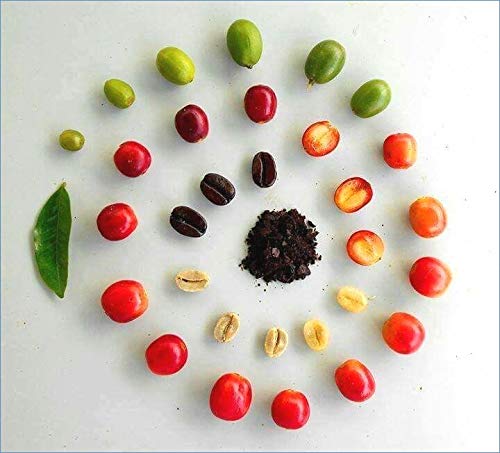 Single Origin Costa Rican herbal tea