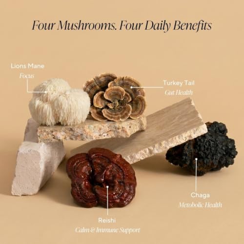 single serve mushroom hot cocoa