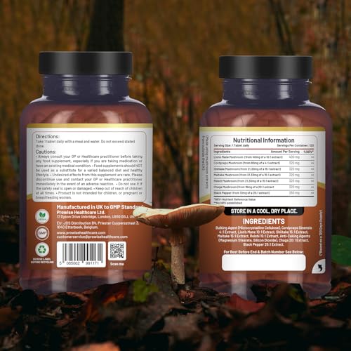 Six mushroom blend for wellness