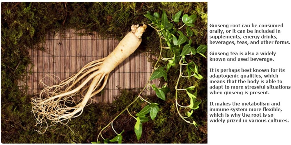 six year old ginseng roots