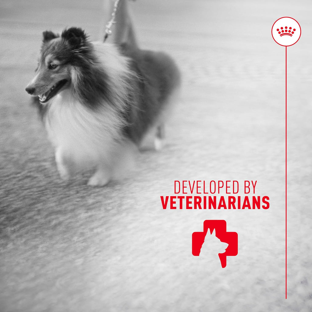 skin and coat care for pets