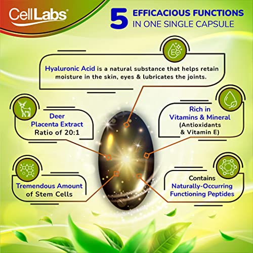 Skin regeneration with deer placenta