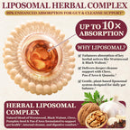 SKLIA cleanse for gut health