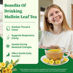 SKMTT herbal tea for relaxation