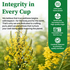 SKMTT Mullein tea for herbal remedies