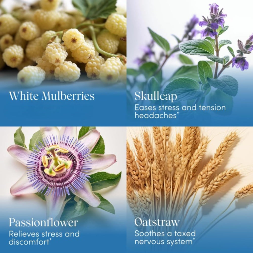 skullcap for calming effects