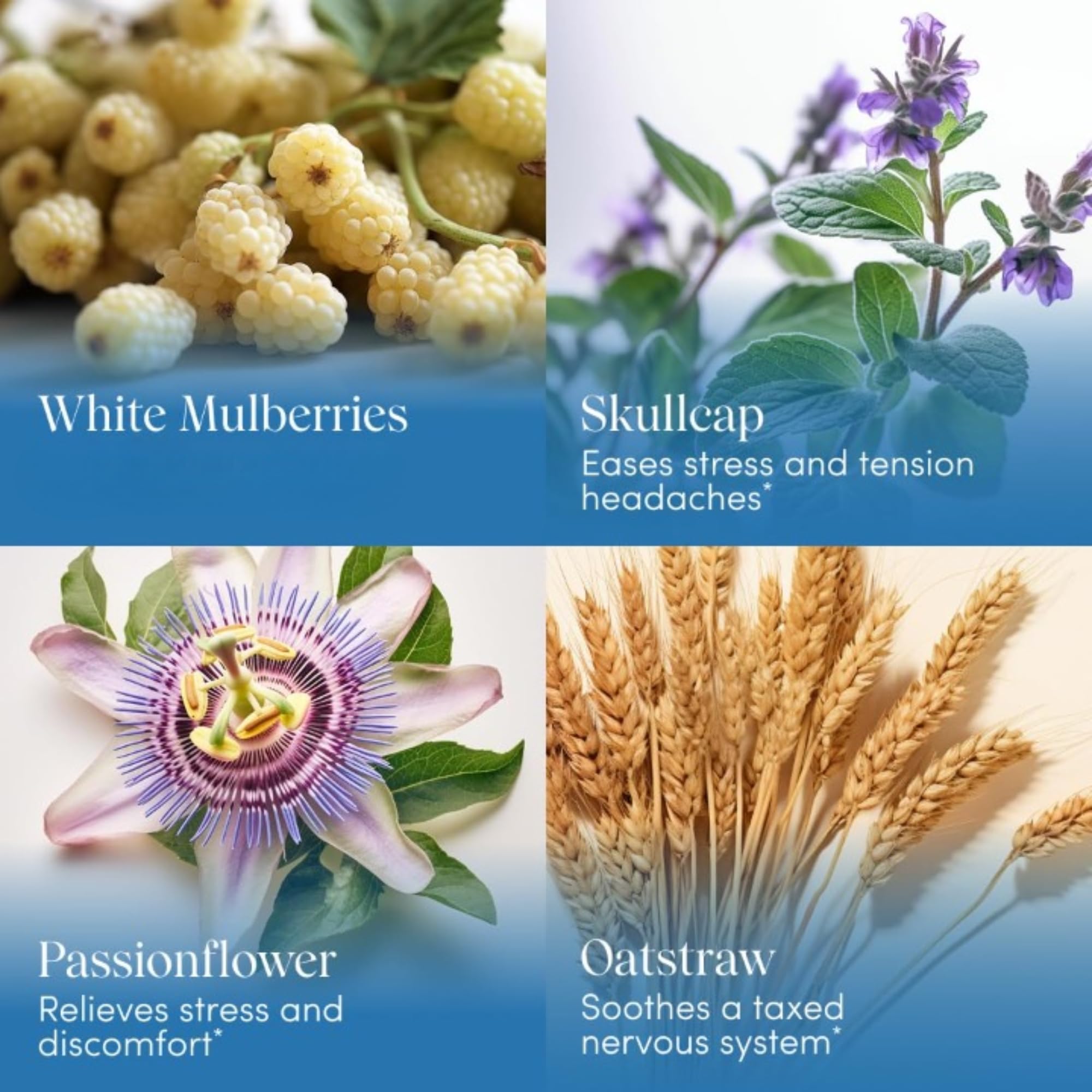 skullcap for calming effects
