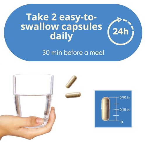 Skullcap for relaxation and focus