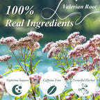 sleep aid valerian root tea
