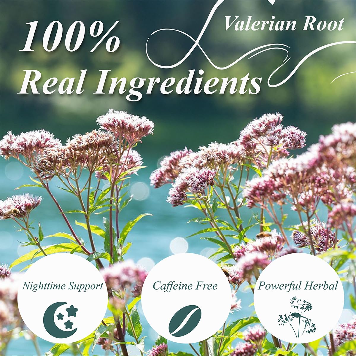 sleep aid valerian root tea
