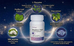 SleepRest+ Night for improved sleep health