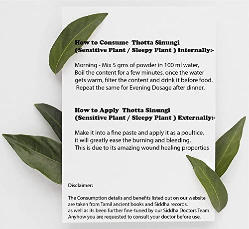 Sleepy Plant blend for restful nights