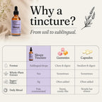 Sleepy supplement for stress relief and sleep