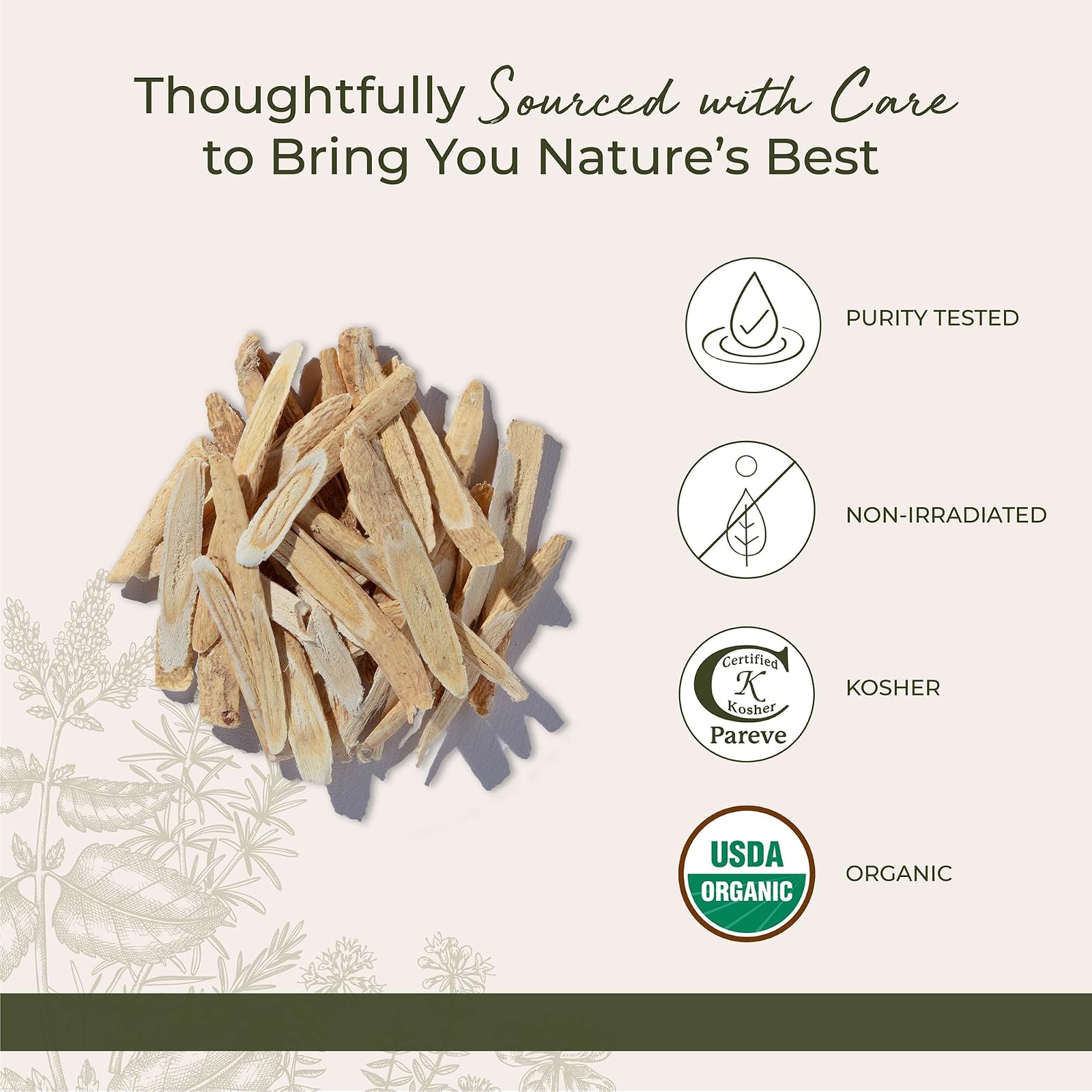 sliced astragalus for immune support