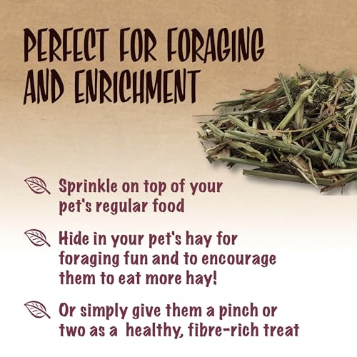 small animal wellness supplements