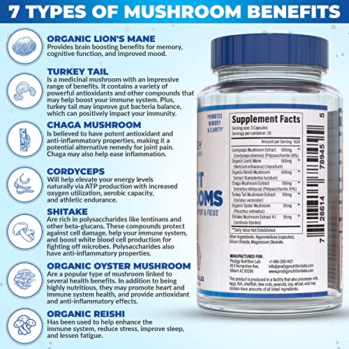 Smart Mushrooms for better concentration