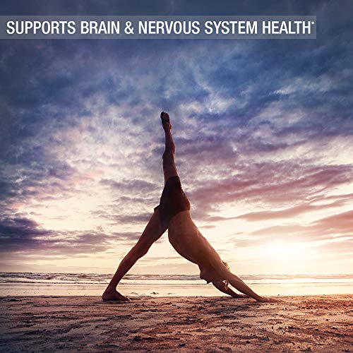 smart mushrooms for mental clarity
