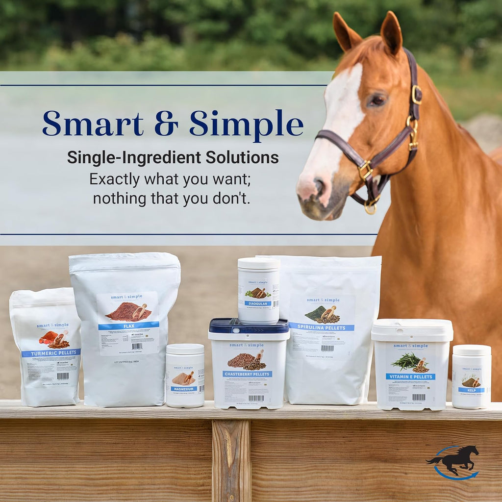 SmartEquine MSM for active horses