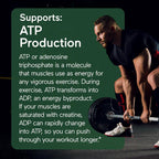 SMARTERNUTRITION creatine for workout recovery