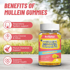 SmildeHeal mullein gummies for immunity