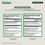smooth digestion support kit