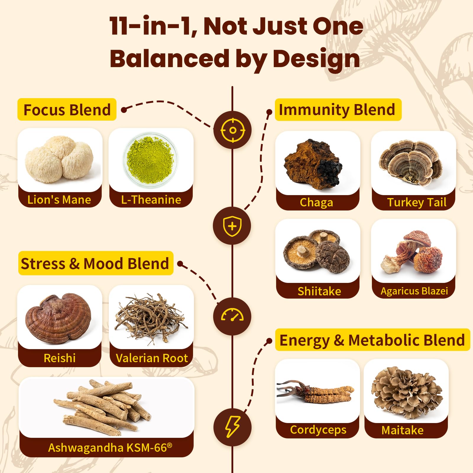 smooth mushroom coffee blend