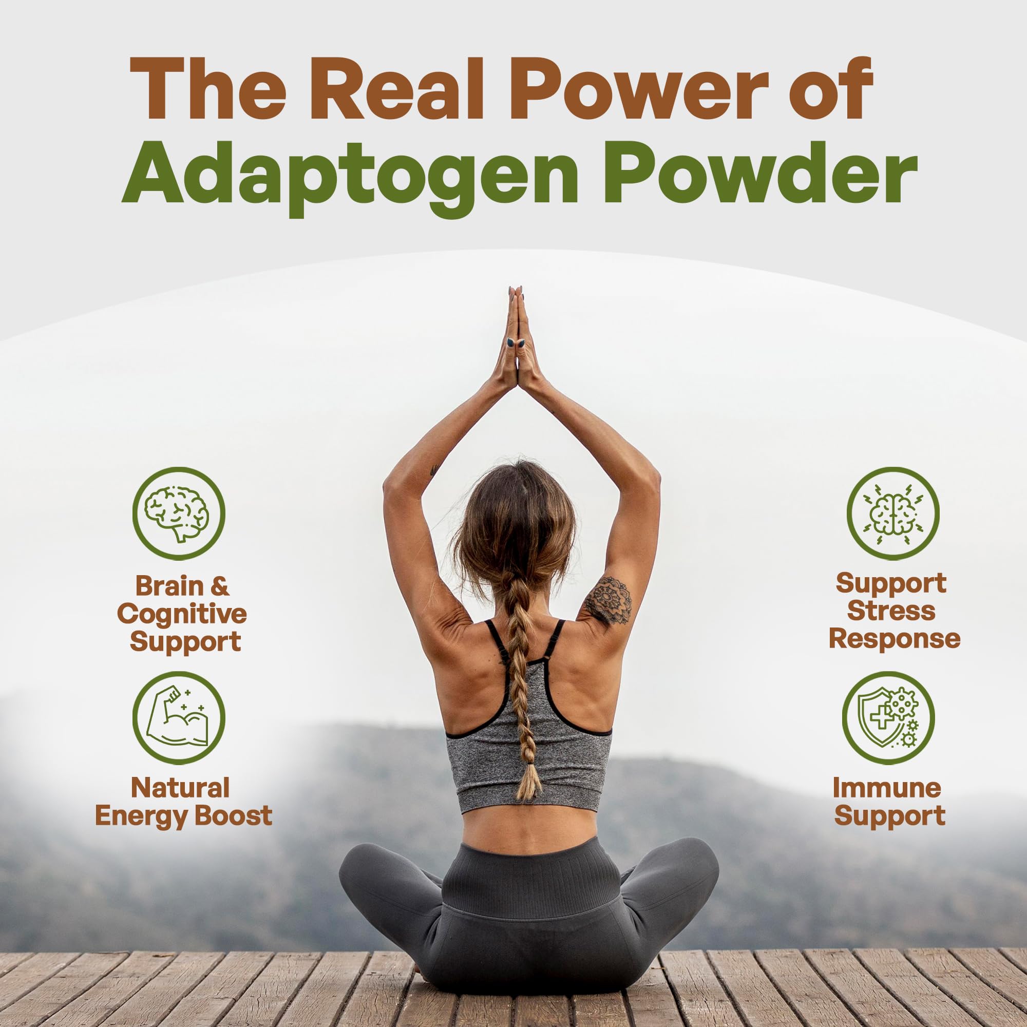 smoothie powder with ginseng