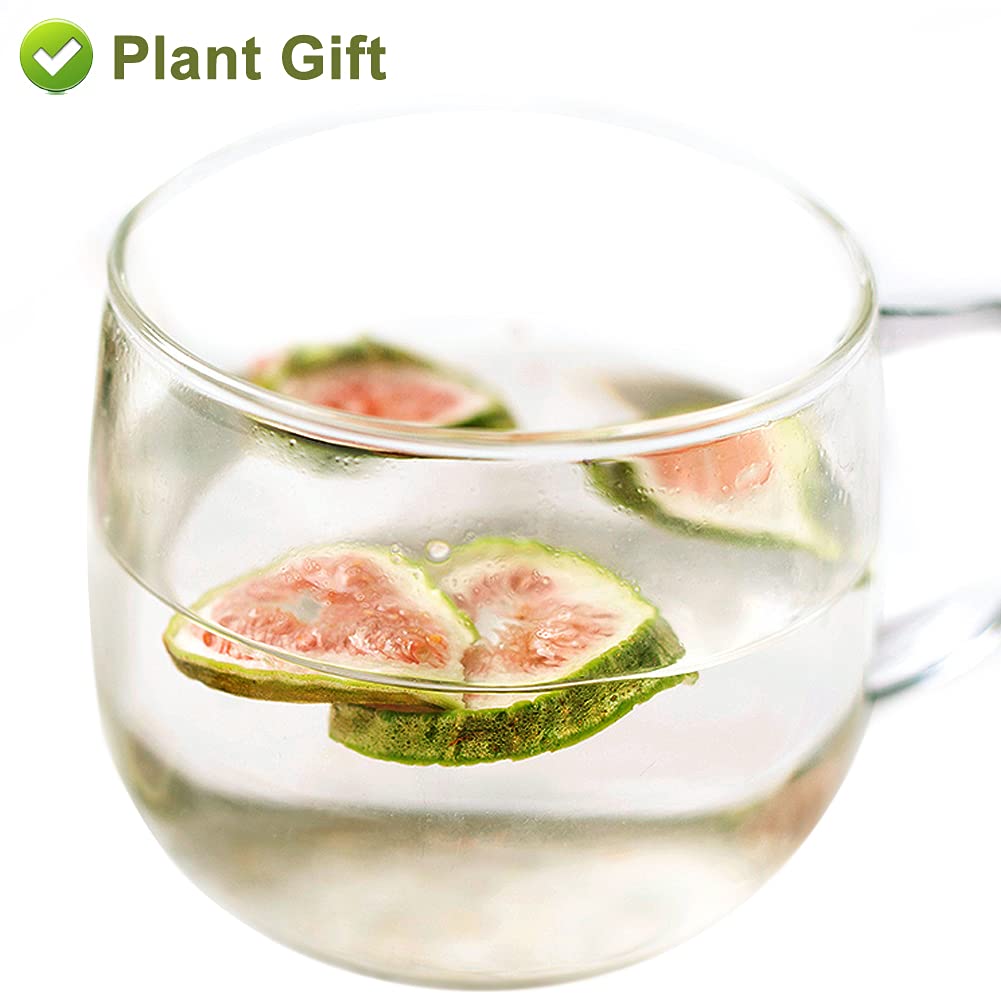 smyrna figs for a healthy diet