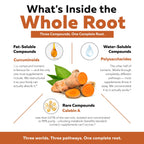 SoActive turmeric for immune boost