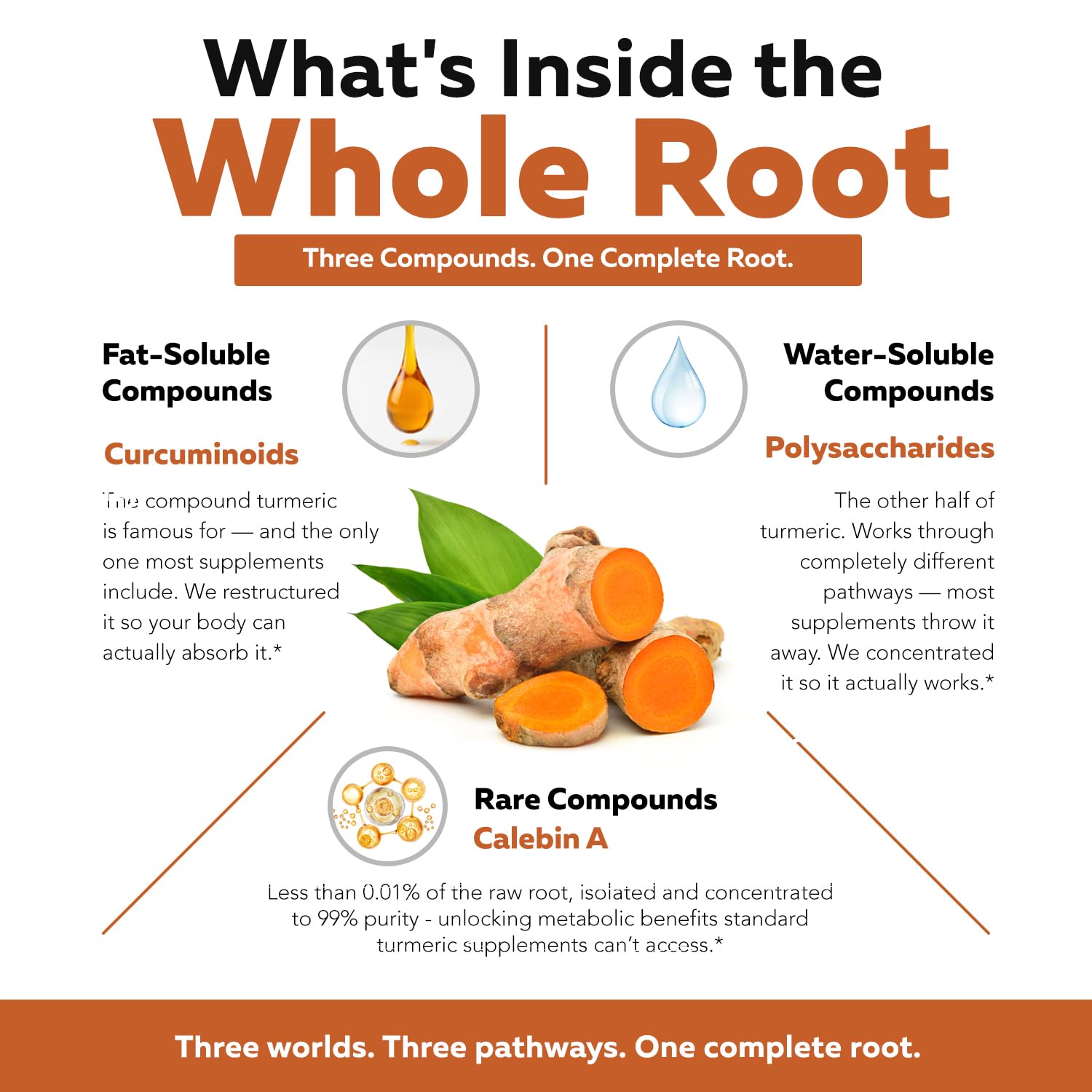SoActive turmeric for immune boost
