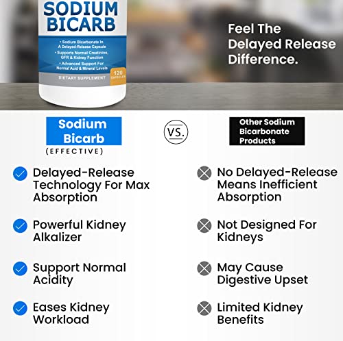sodium bicarbonate for wellness