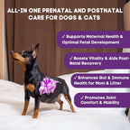 soft chews for pregnant dogs